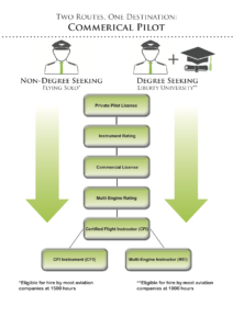 Career Pilot Program - Cirrus Aviation